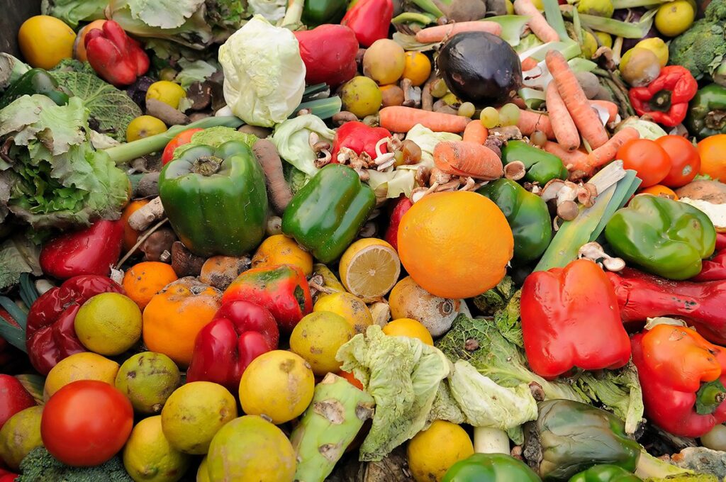 Food Waste Facts & Statistics UK 2024